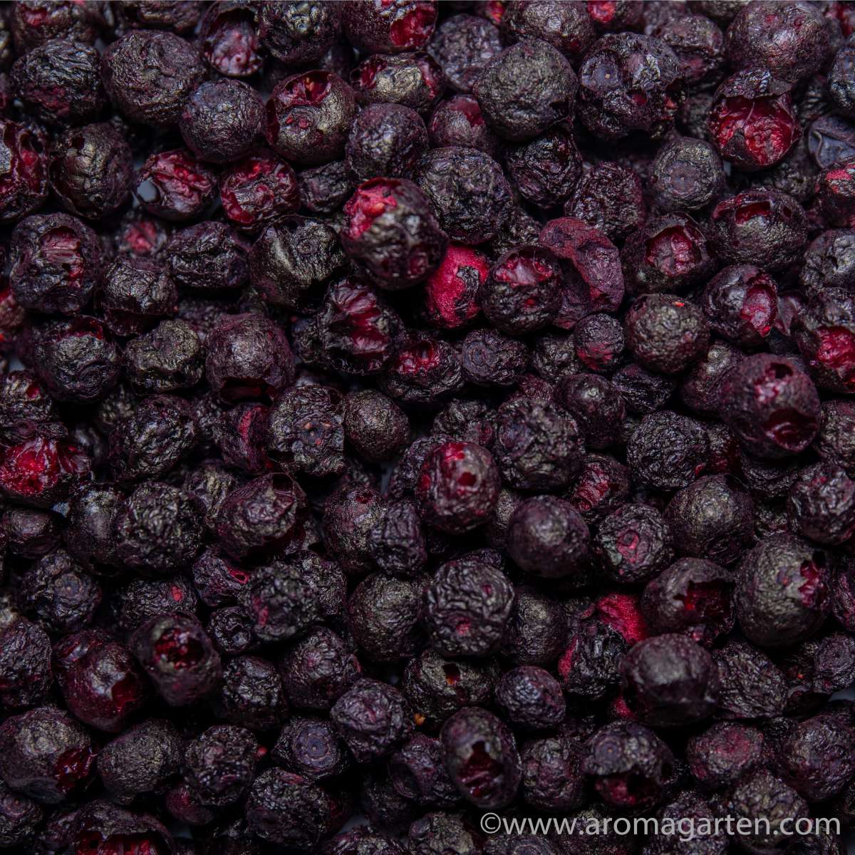 Bio Wildheidelbeeren | Natürlicher Aromagarten