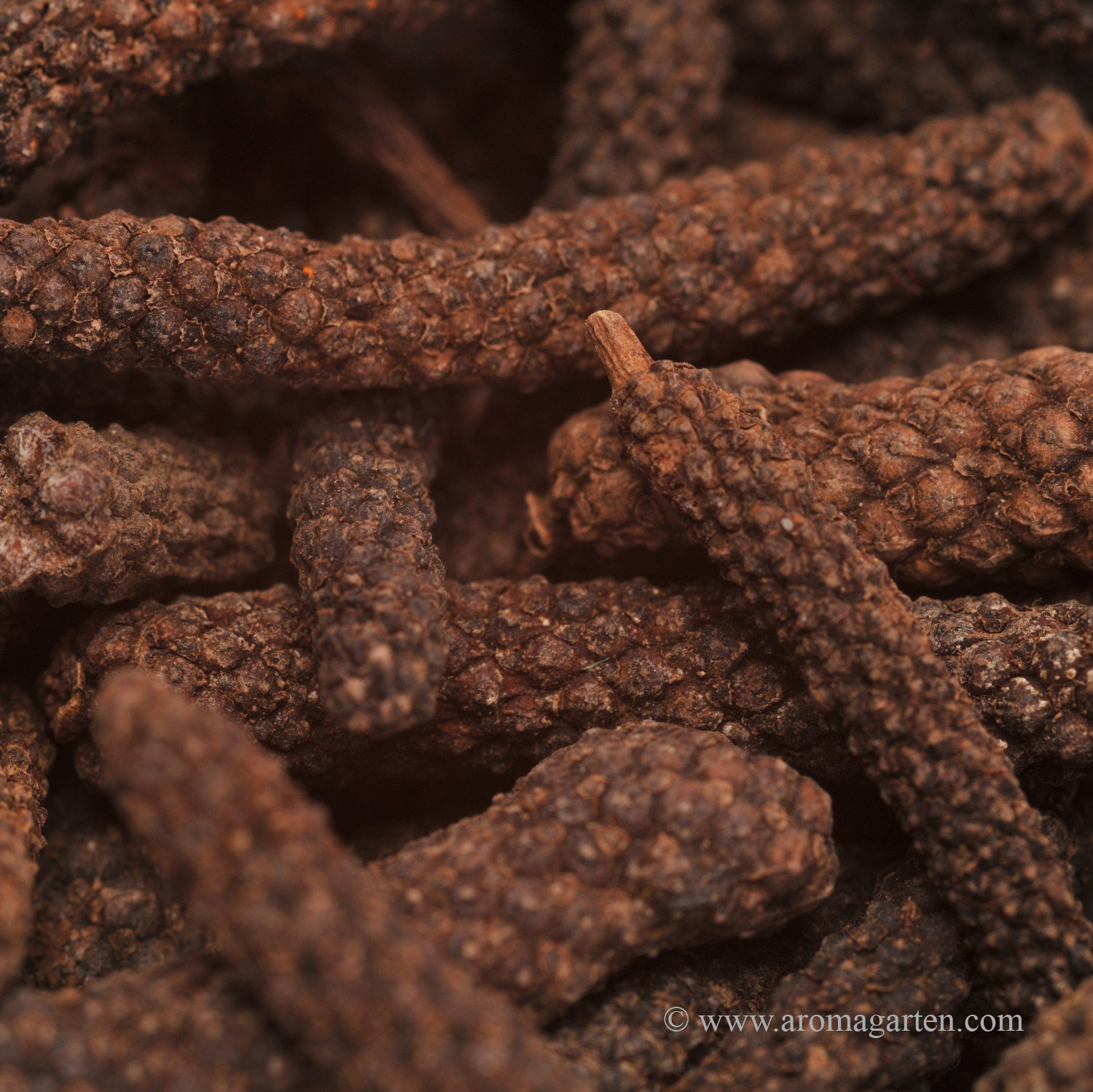 Langer Pfeffer bio kaufen | Natürlicher Aromagarten